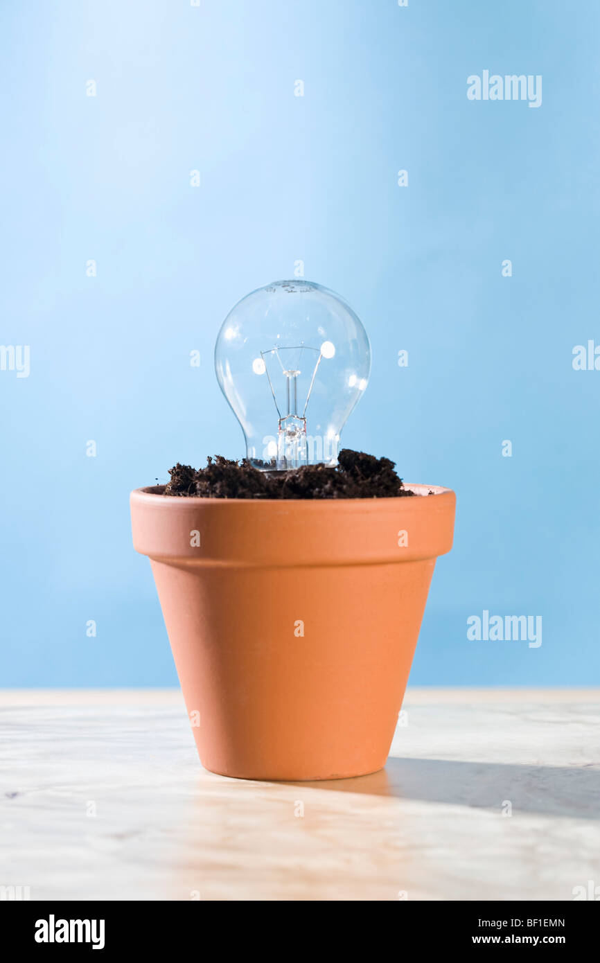 An light bulb in dirt in a flower pot Stock Photo - Alamy