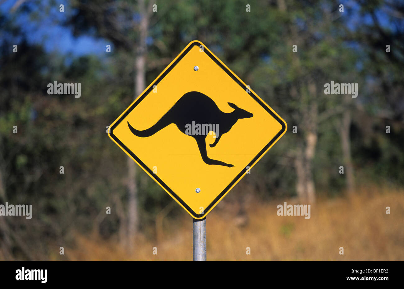 ROAD SIGNS, Australia. KANGAROO Stock Photo - Alamy