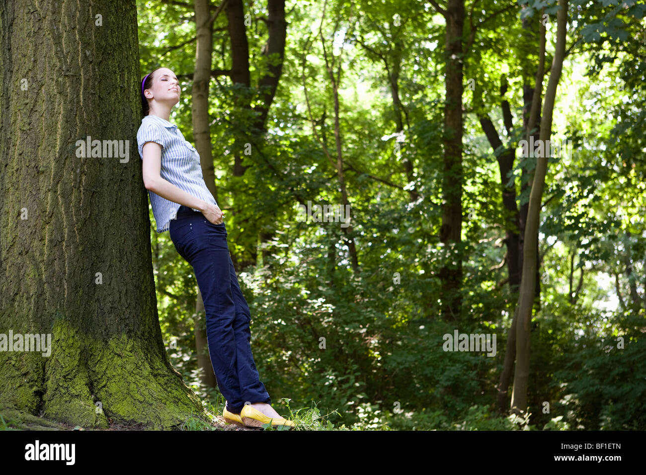 Resting Against Tree High Resolution Stock Photography and Images - Alamy