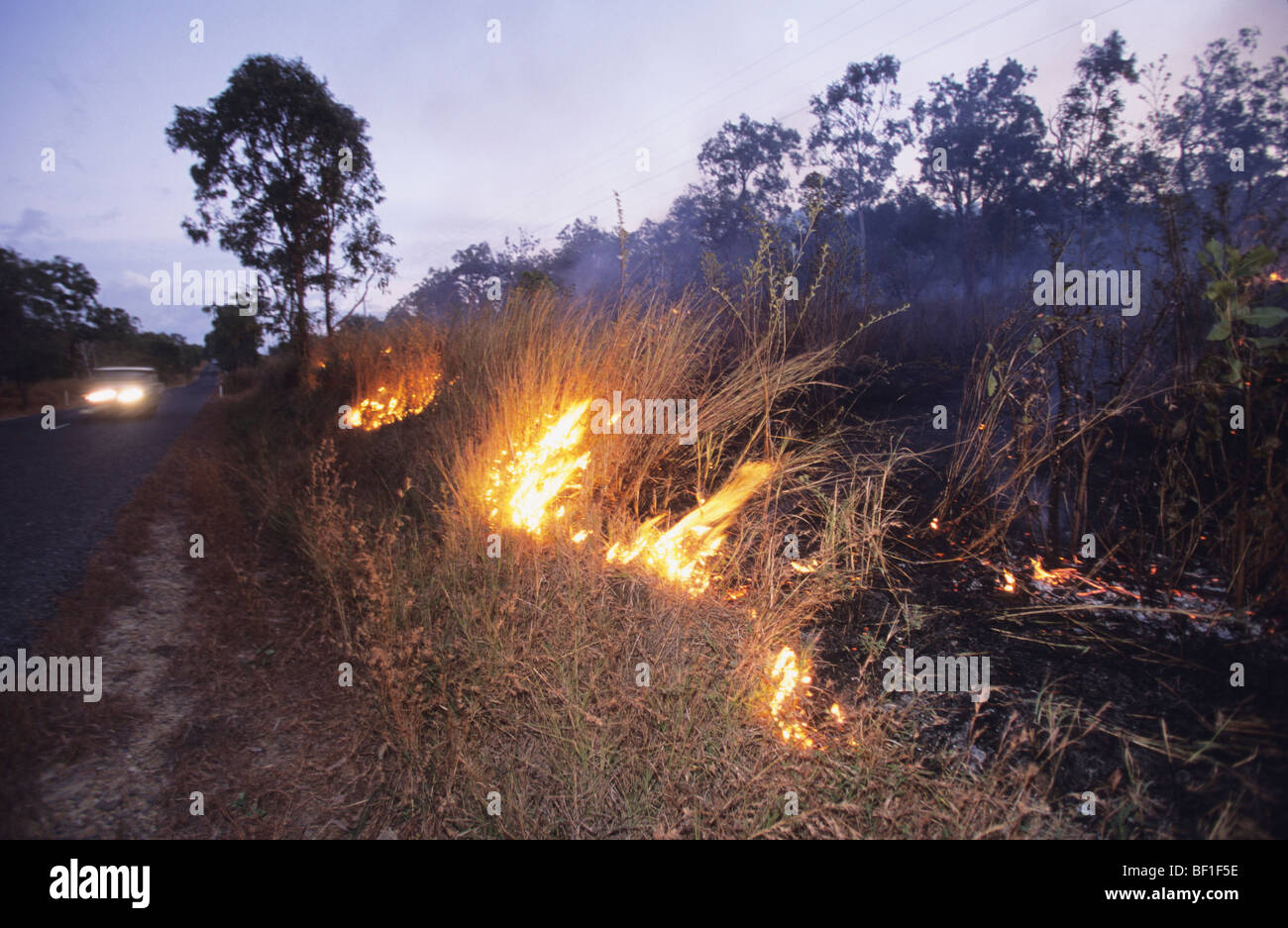 Forest fire, Daintree National park, Queensland, Northern Australia ...