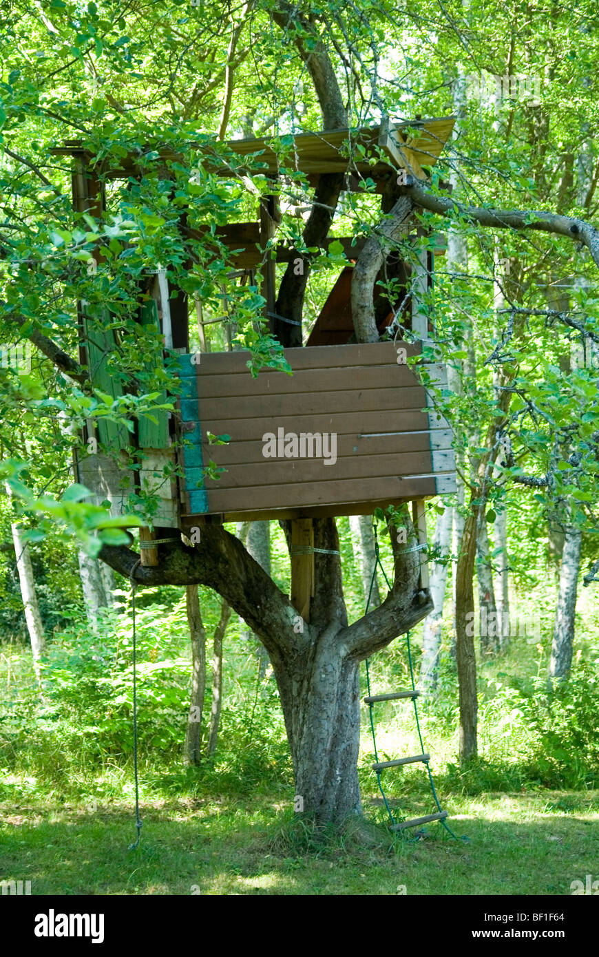 Tree top hut sweden hi-res stock photography and images - Alamy
