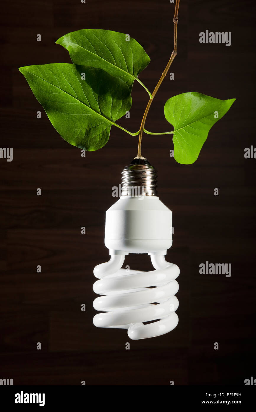 Vine series hi-res stock photography and images - Alamy