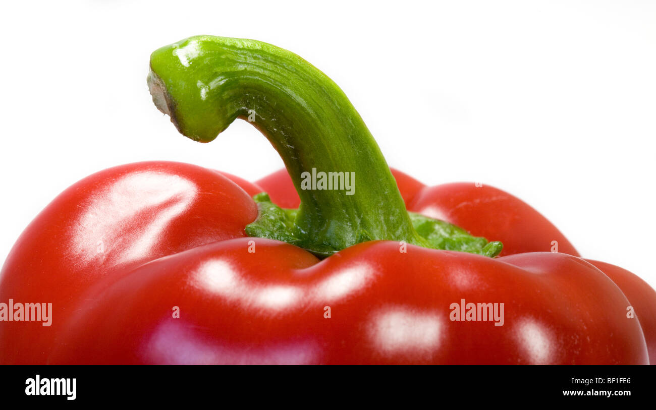 Red Bell Pepper (Capsicum Stock Photo - Alamy