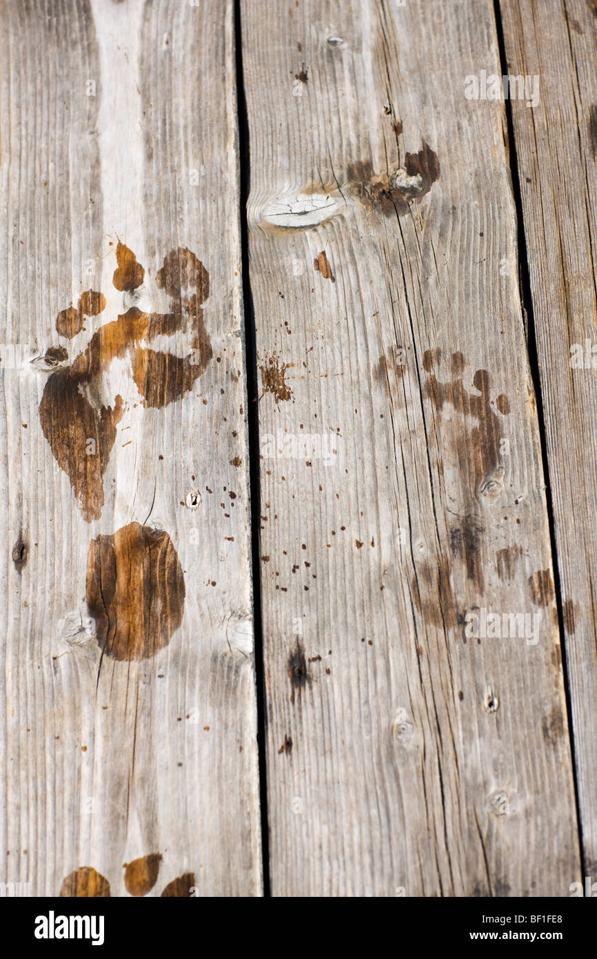 Disappearing footprints hi-res stock photography and images - Alamy