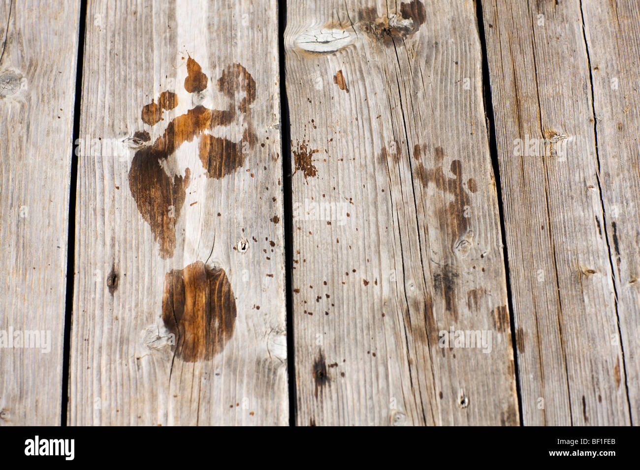 Disappearing footprints hi-res stock photography and images - Alamy