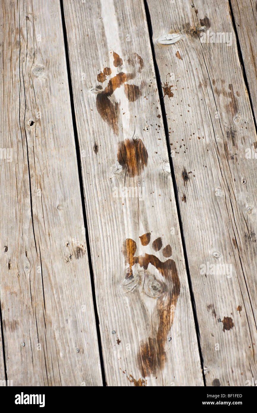 Disappearing footprints hi-res stock photography and images - Alamy