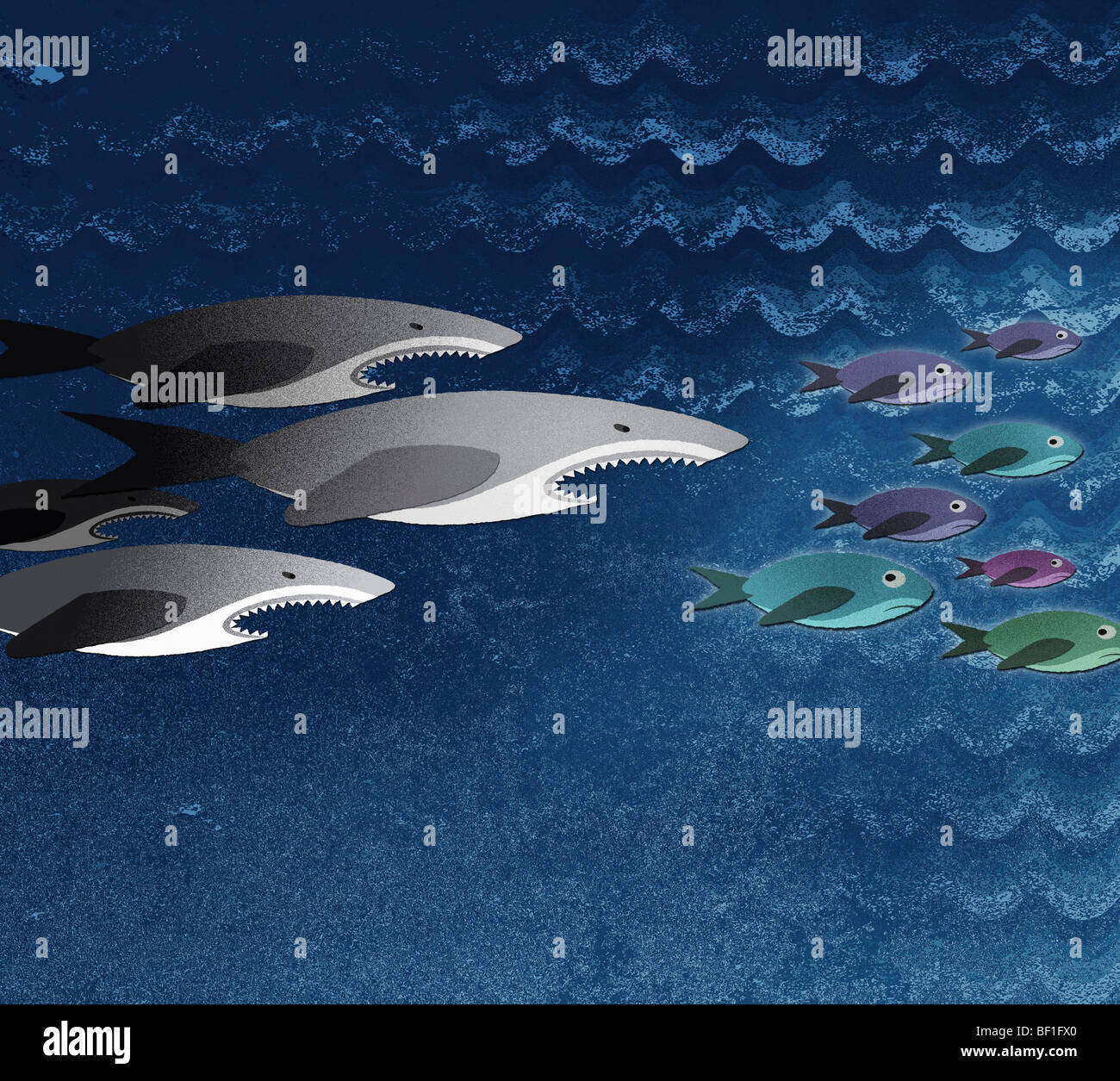 Three sharks chasing a school of fish Stock Photo - Alamy