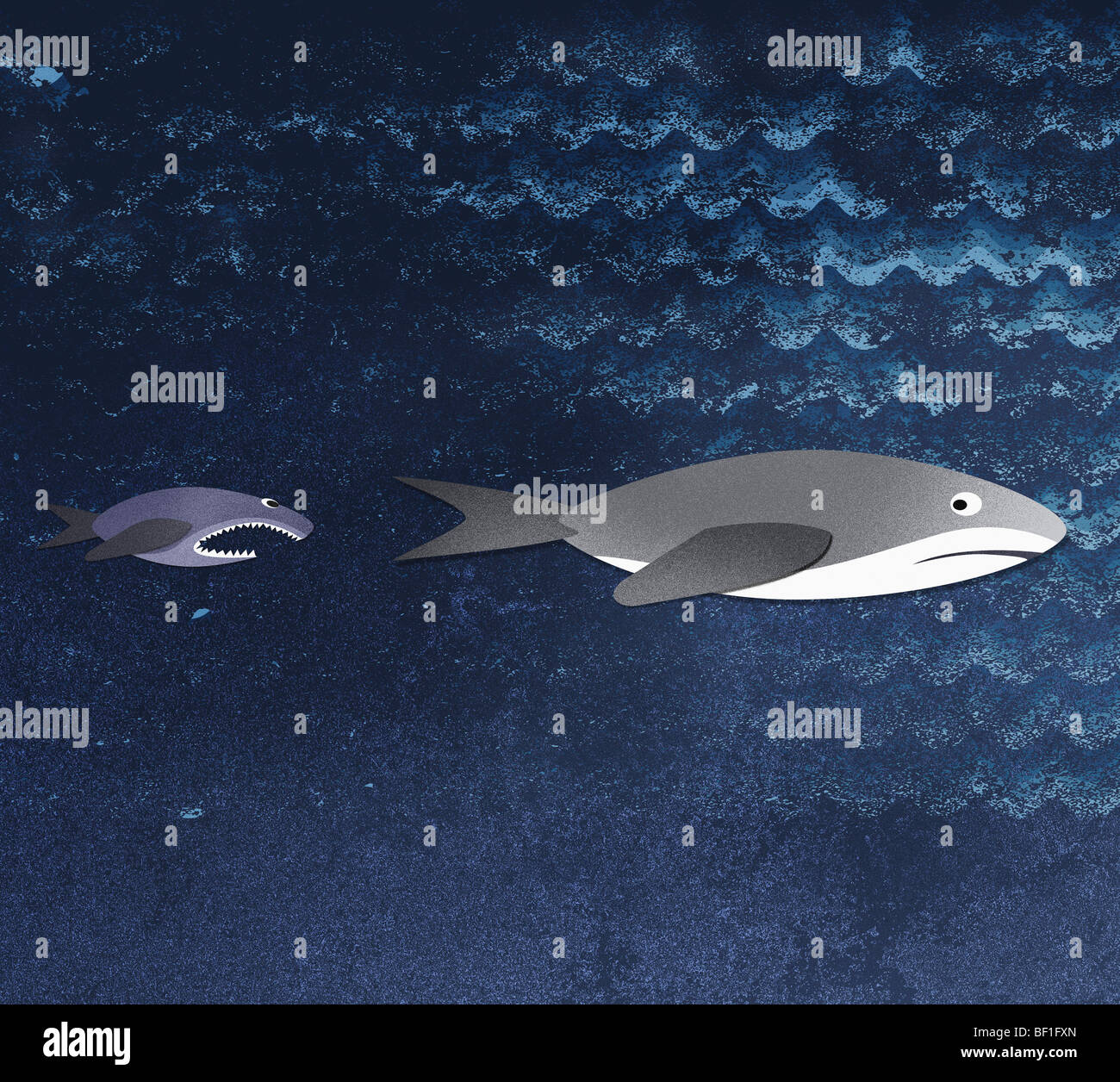 A small fish chasing a shark Stock Photo - Alamy