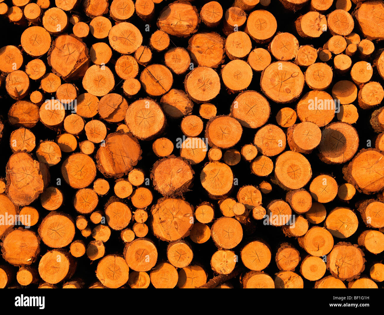 Swedish industri hi-res stock photography and images - Alamy