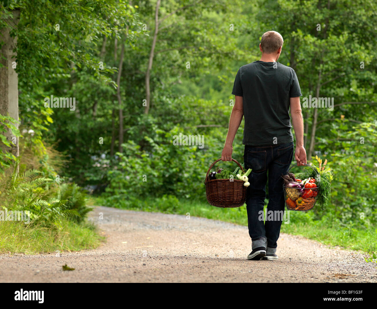 A man carrying baskets full of vegetables, Sweden Stock Photo - Alamy