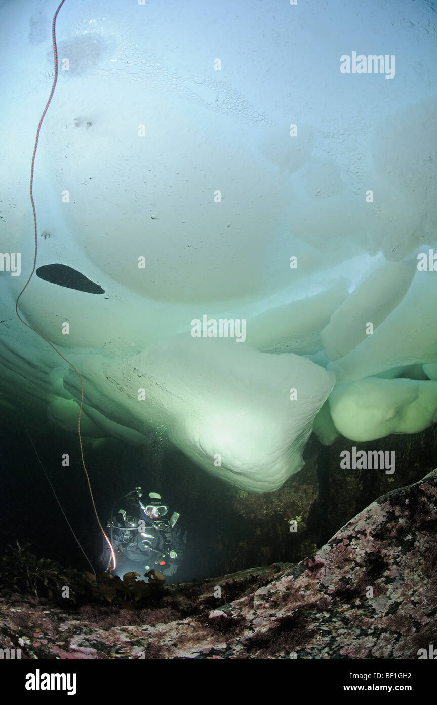 Under the ice hi-res stock photography and images - Alamy