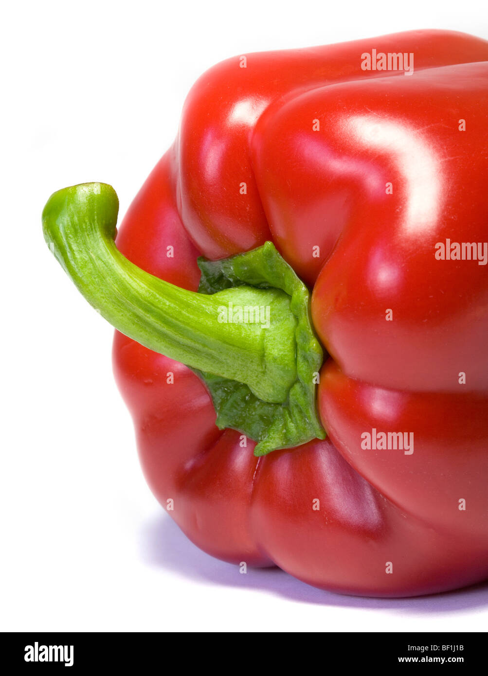 Capsicum capsicums hi-res stock photography and images - Alamy