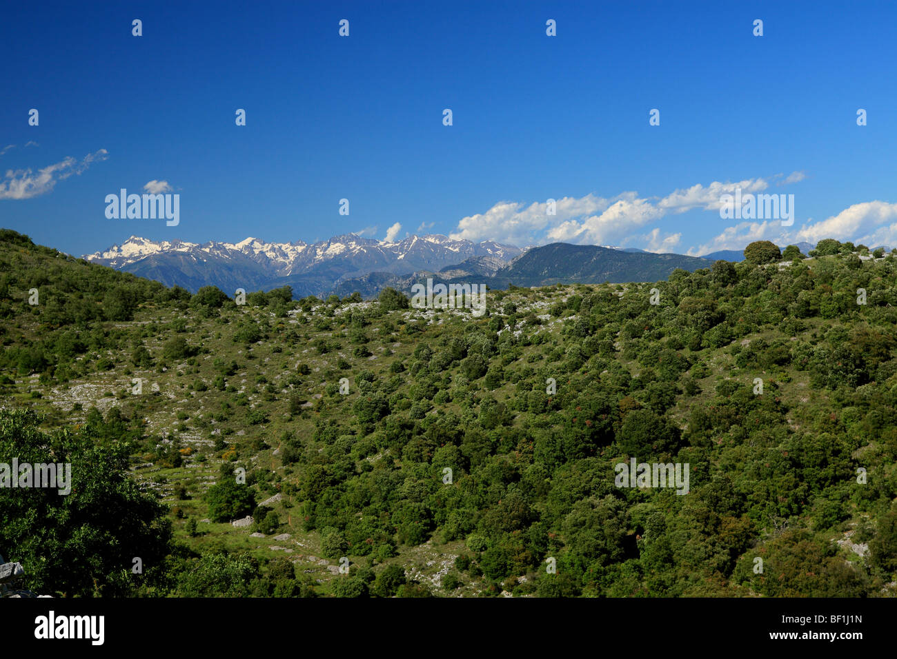 Overview of the French Riviera hinterland landscape Stock Photo - Alamy