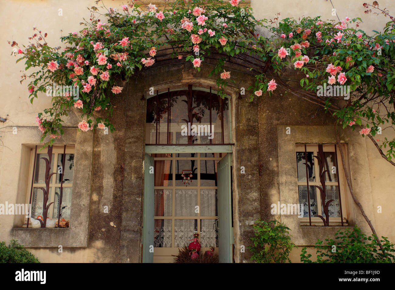Climbing rose house hi-res stock photography and images - Alamy