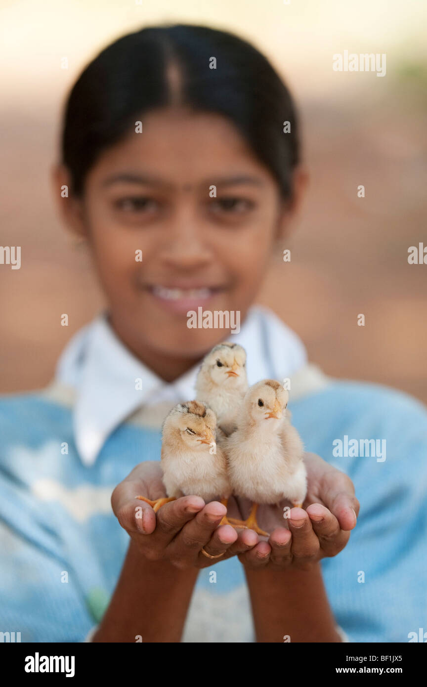 Young indian girl with chicks in the palm of her hands. Andhra Pradesh ...