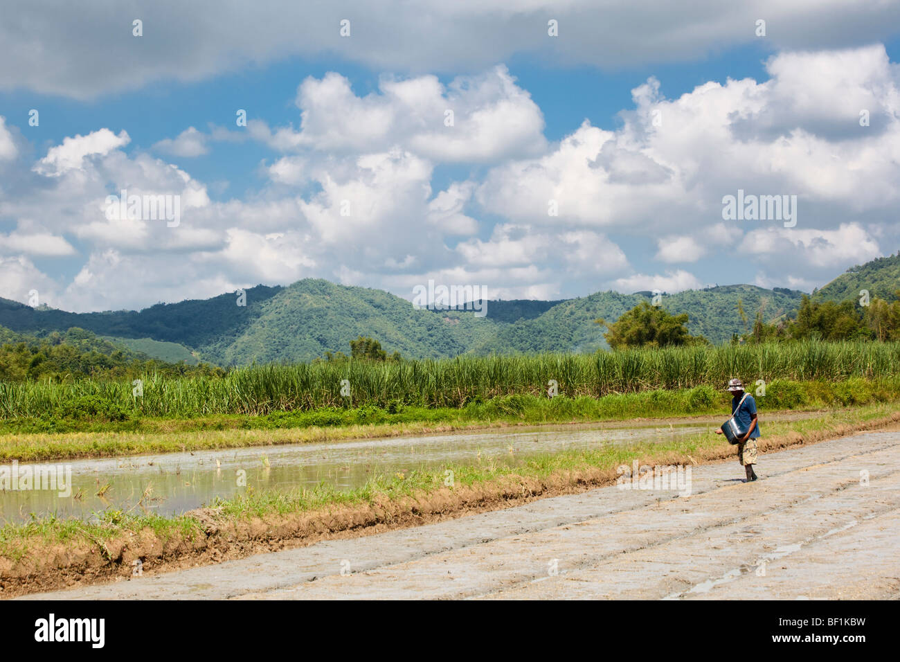 Filipino farmer hi-res stock photography and images - Alamy