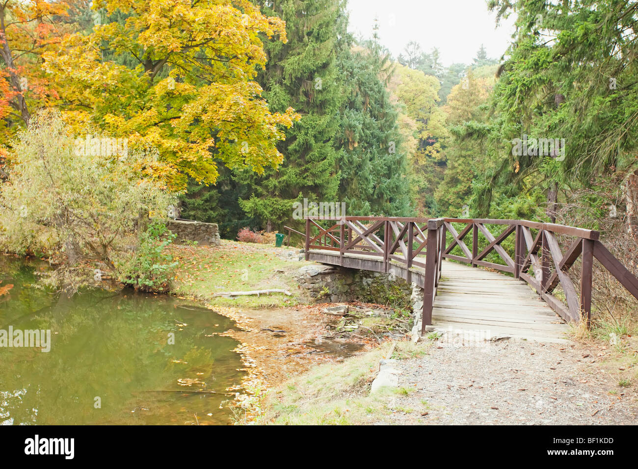 A bridge in the forest over the river Stock Photo - Alamy