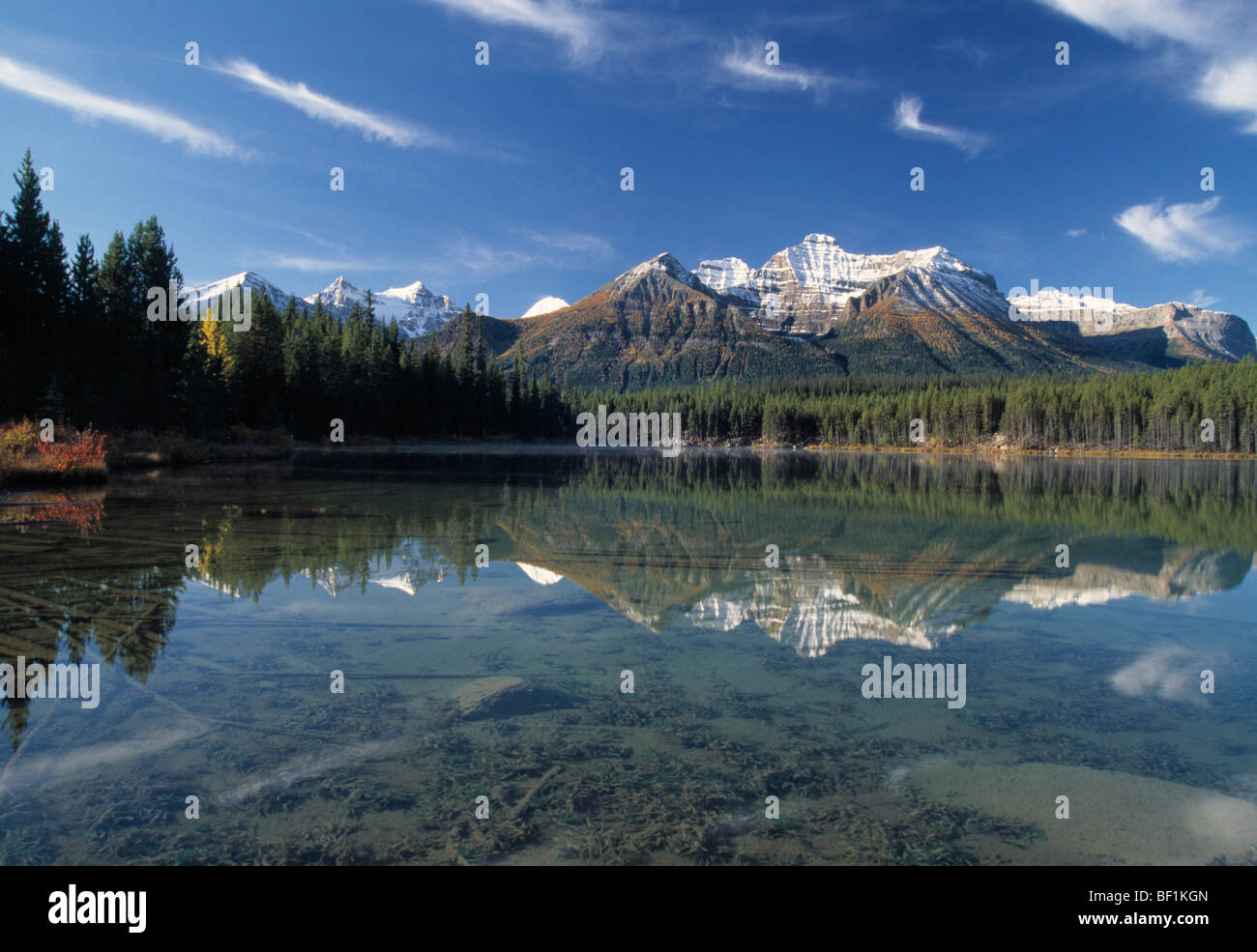 canada, alberta, banff national park, herbert lake Stock Photo - Alamy
