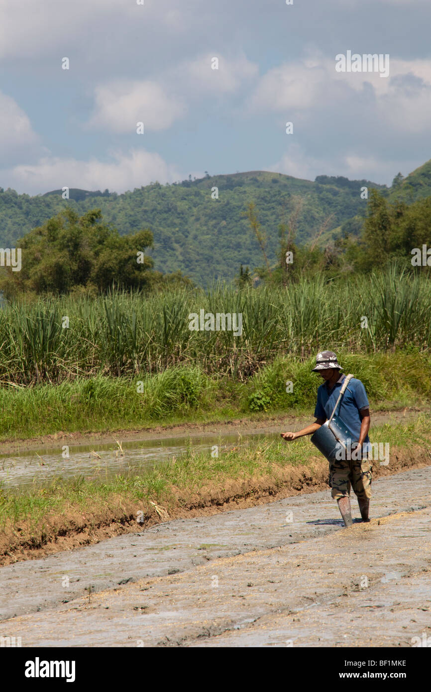 Filipino farmer hi-res stock photography and images - Alamy