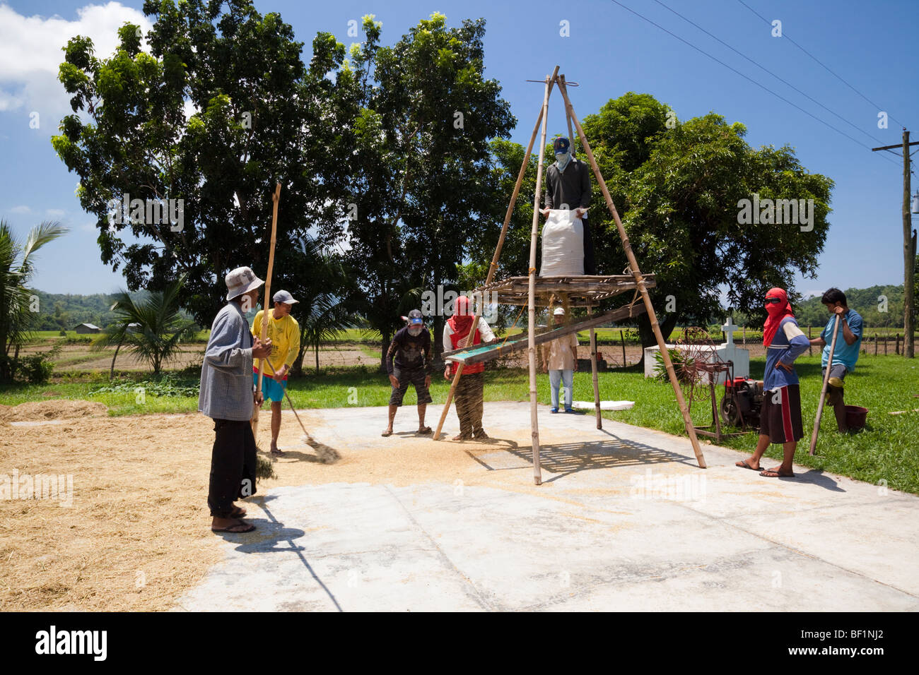 Rice winnowing hi-res stock photography and images - Alamy