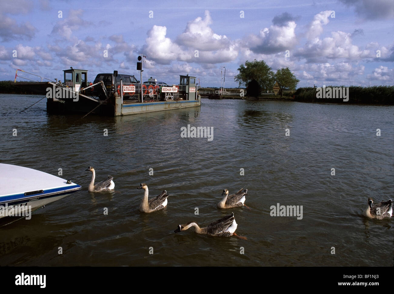 Reedham Ferry Norfolk Broads Stock Photo - Alamy