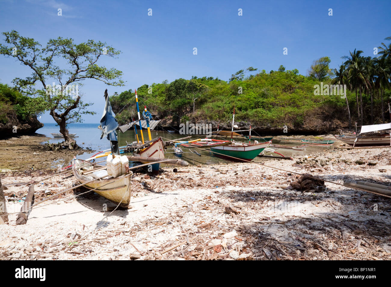 Traditional fishing boats pulled onto the beach. Sinapsapan village ...