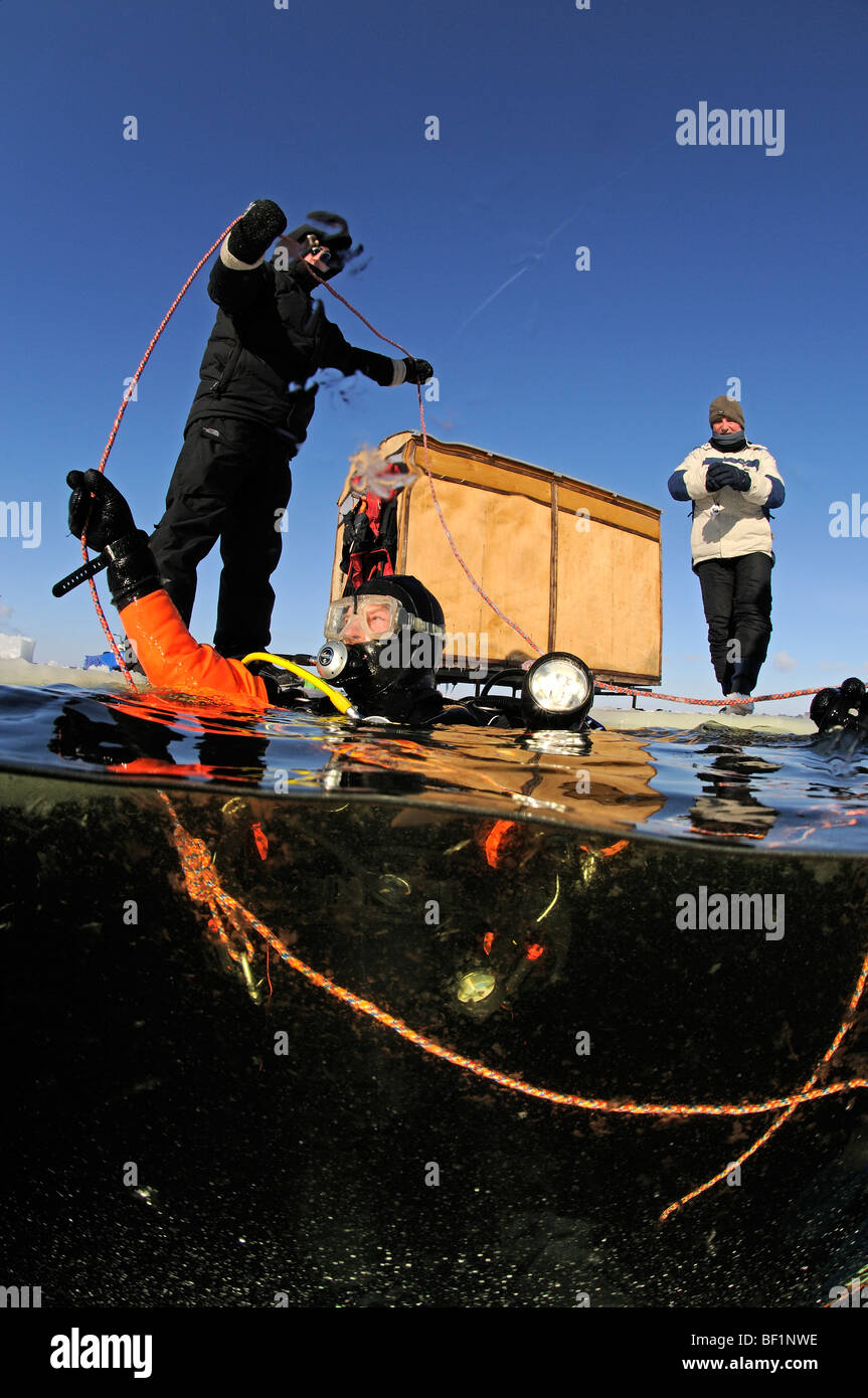 ice diving, split shot from ice divers and safty rope, White Sea ...