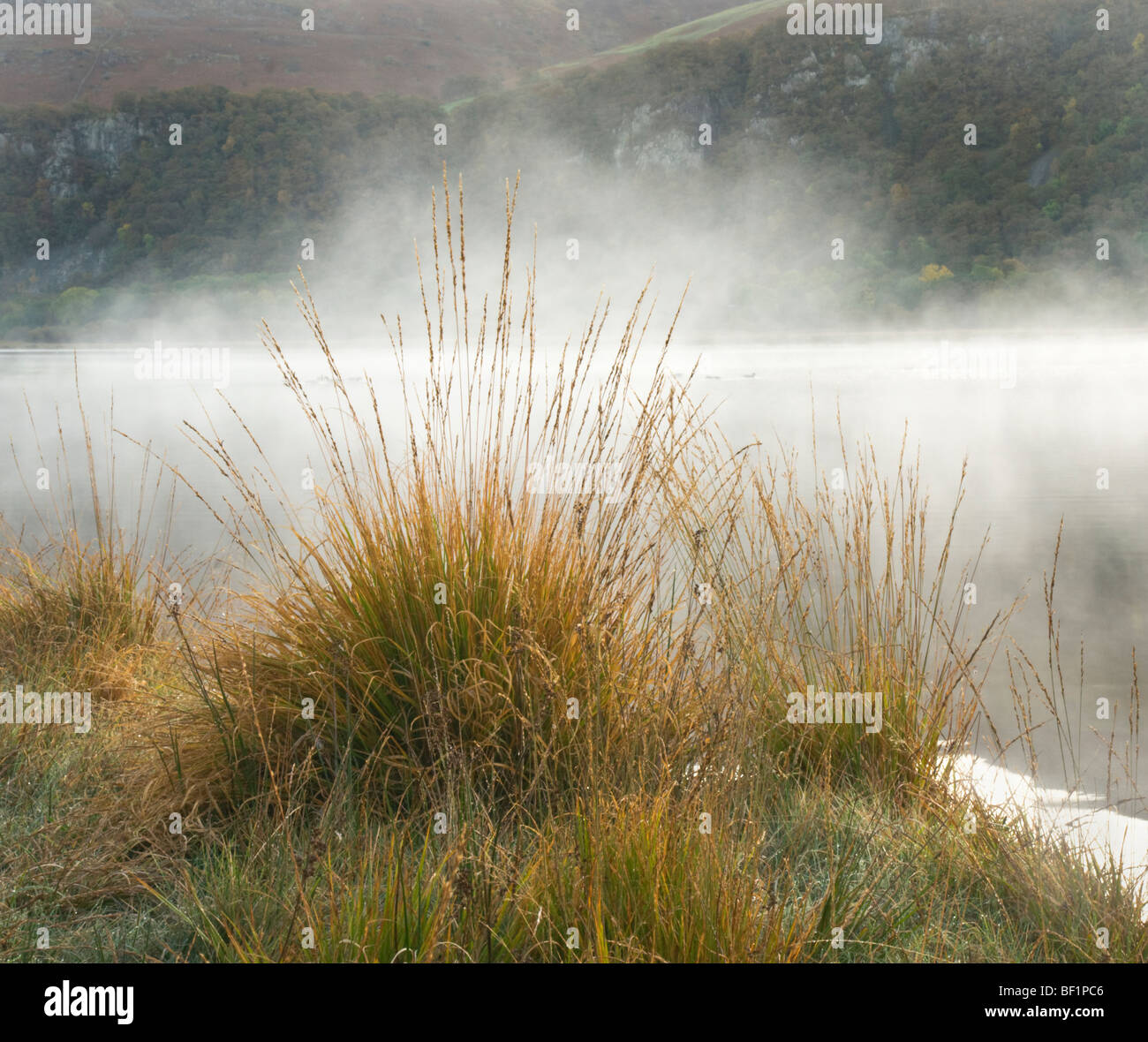 Early morning mist rising from the surface of Derwentwater, Cumbria ...