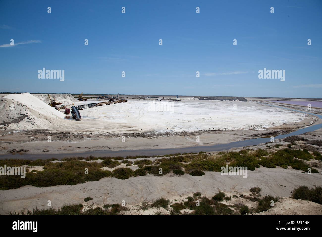 France Camargue Park Parc naturel régional de Carmague Stock Photo - Alamy