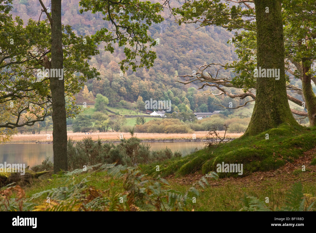 Derwentwater from Manesty Park with High Lodore farm in the background ...