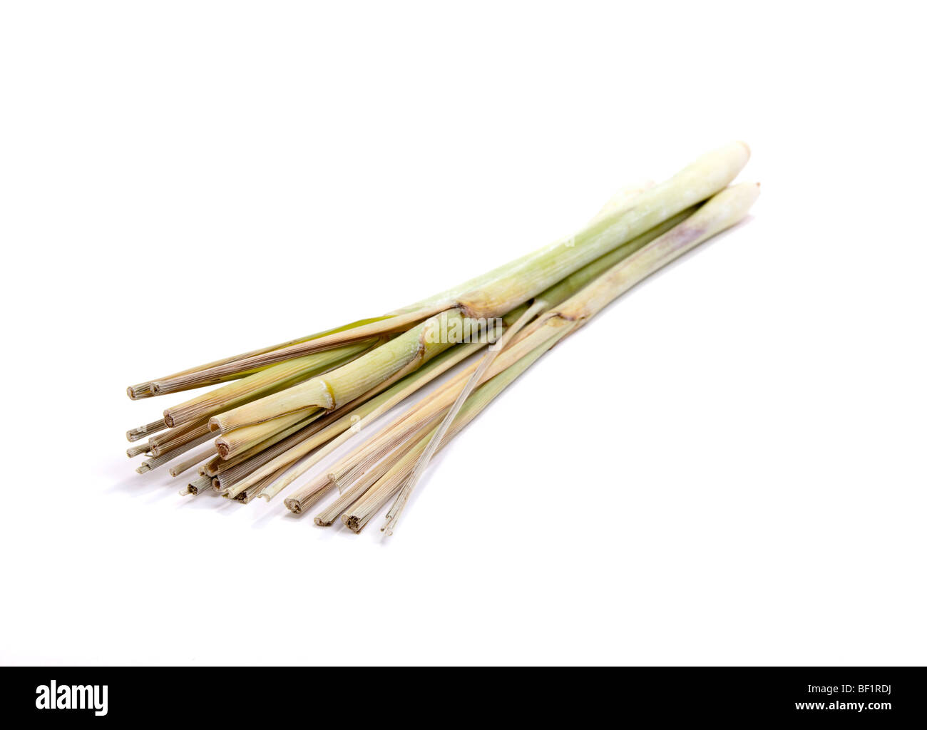 Bunch of lemon grass isolated against white background Stock Photo - Alamy
