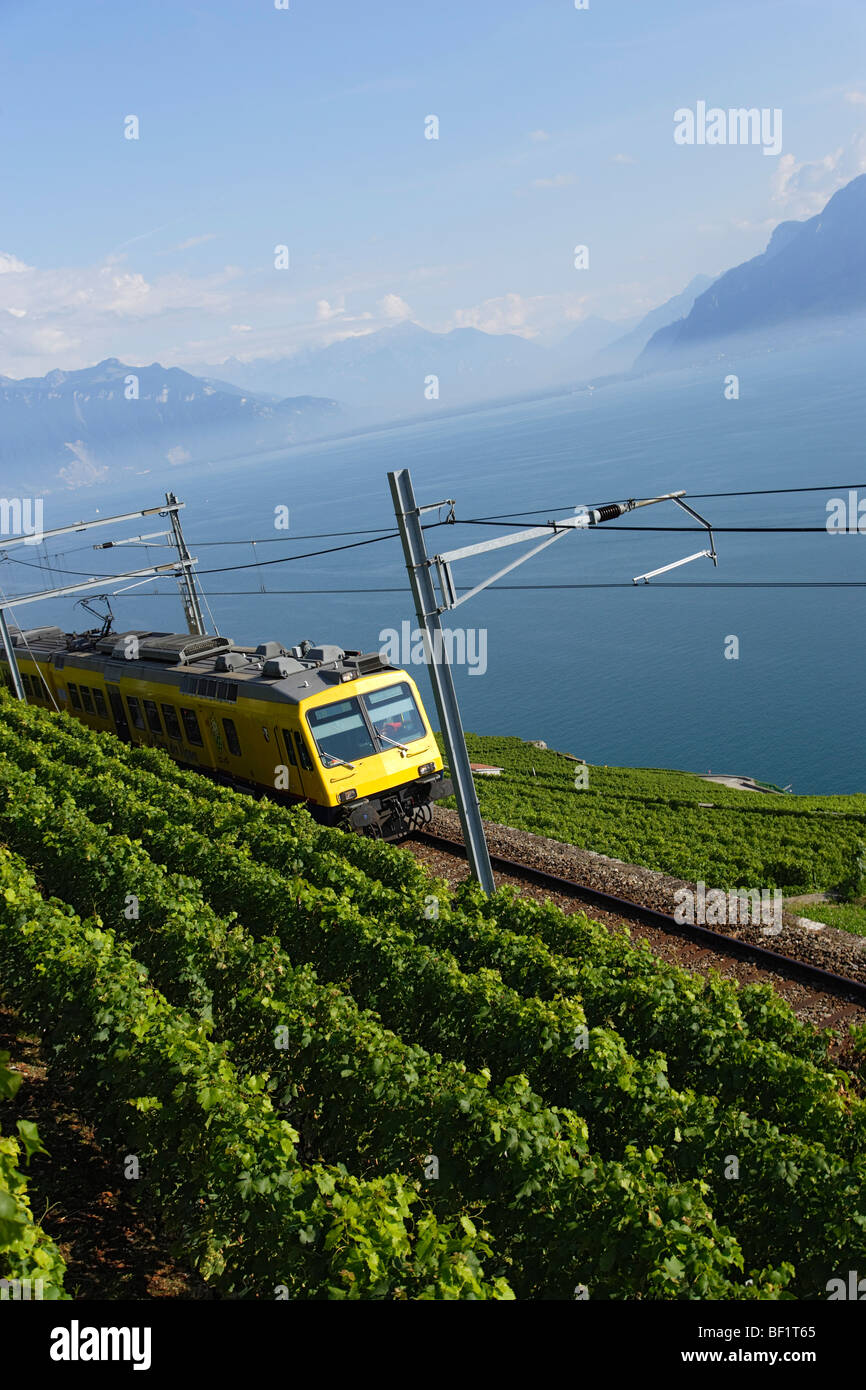 Train de Vignes, Lavaux, Canton of Vaud, Switzerland Stock Photo - Alamy