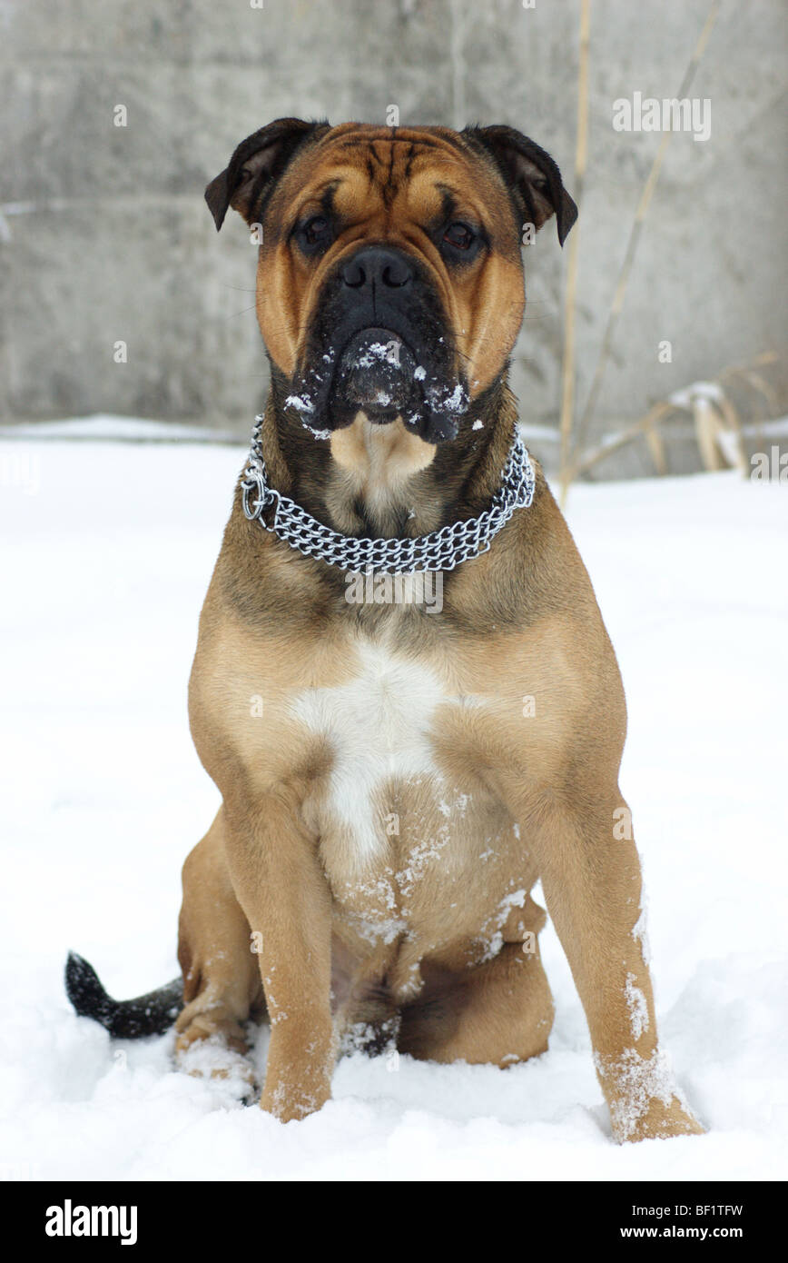 Ca de Bou Stock Photo - Alamy