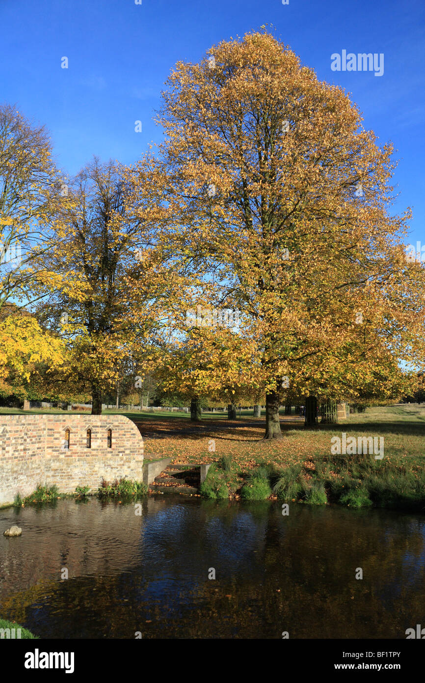 Autumn on Lime Avenue, Bushy Park, and bridge over Longford river in ...
