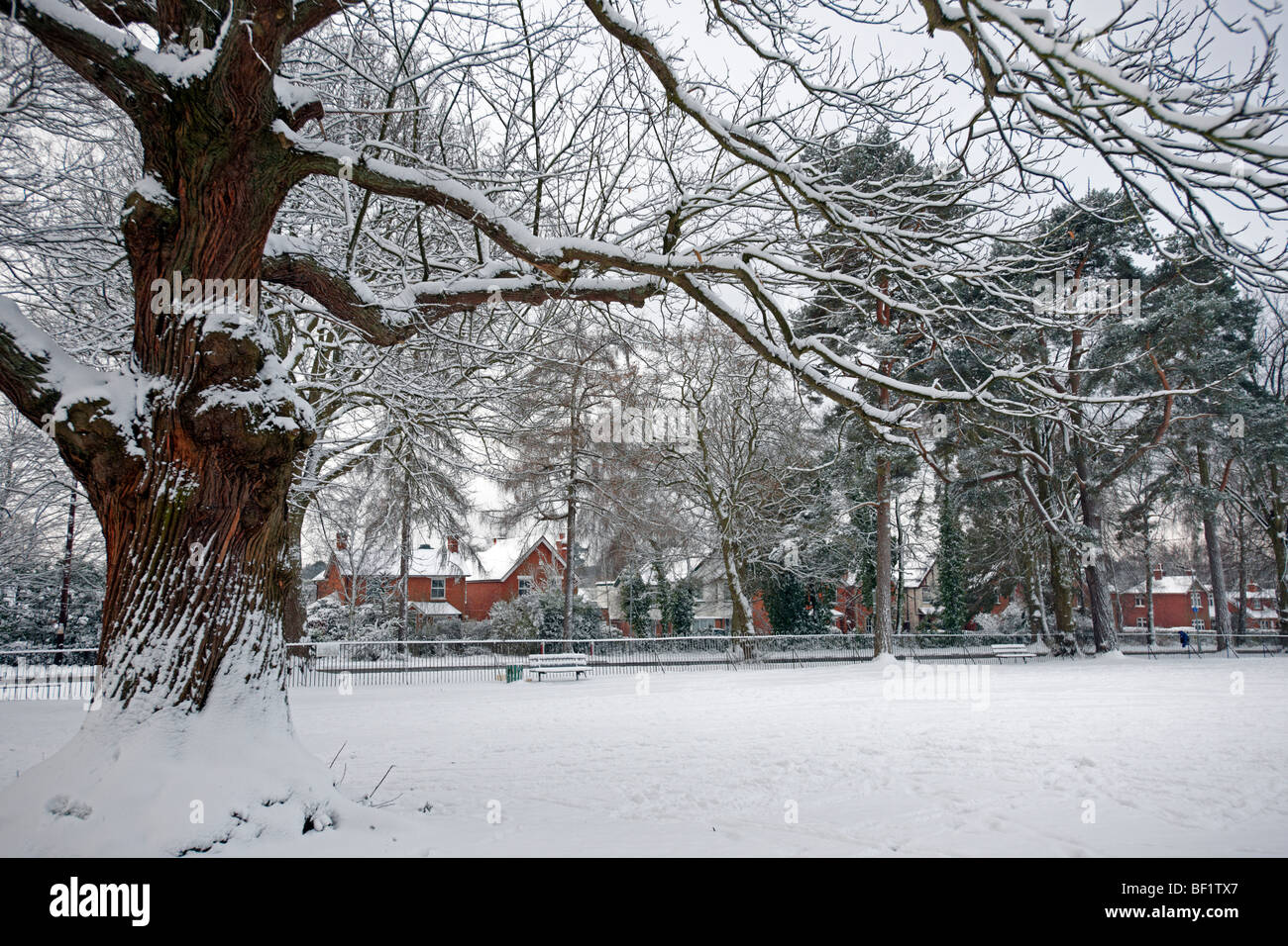 Crowthorne hi-res stock photography and images - Alamy