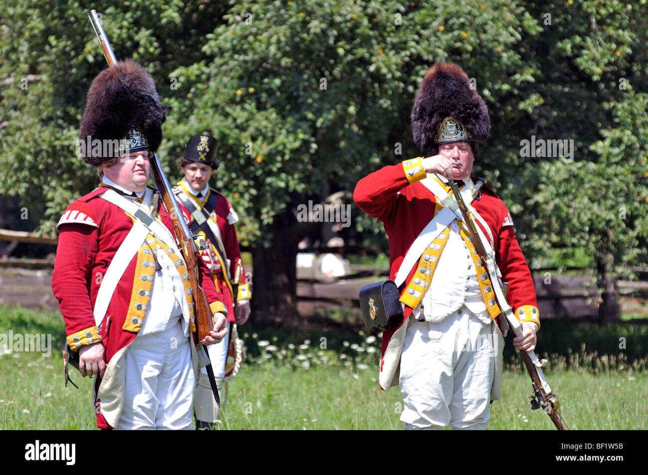 Loading musket hi-res stock photography and images - Alamy