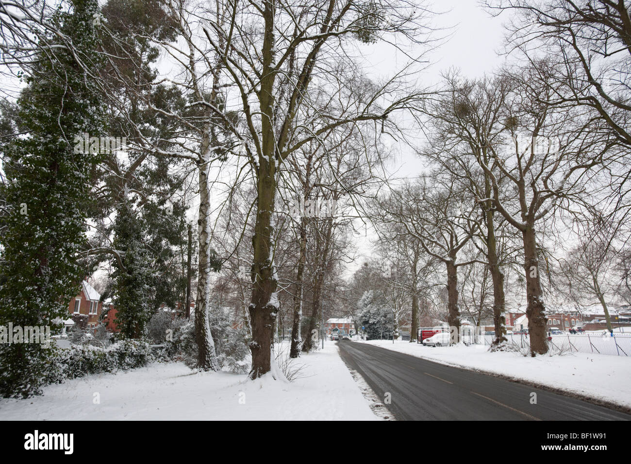 Crowthorne in the Snow Stock Photo - Alamy