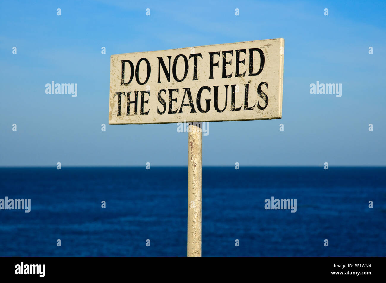 'Do not feed the seagulls' sign, Cornwall Stock Photo - Alamy