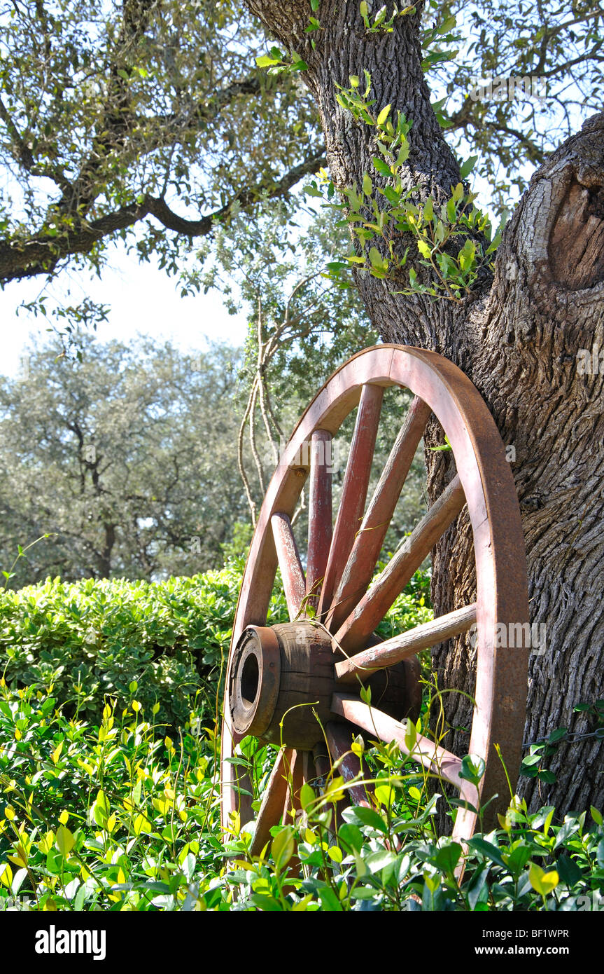 Country scene old wagon wheel hi-res stock photography and images - Alamy