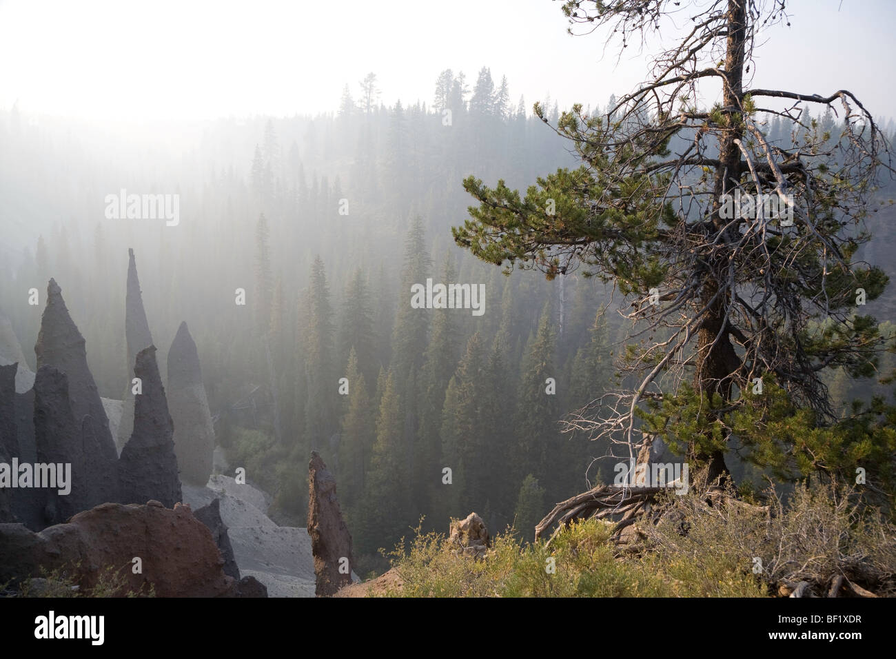 The Pinnacles - Crater Lake National Park Oregon Stock Photo - Alamy