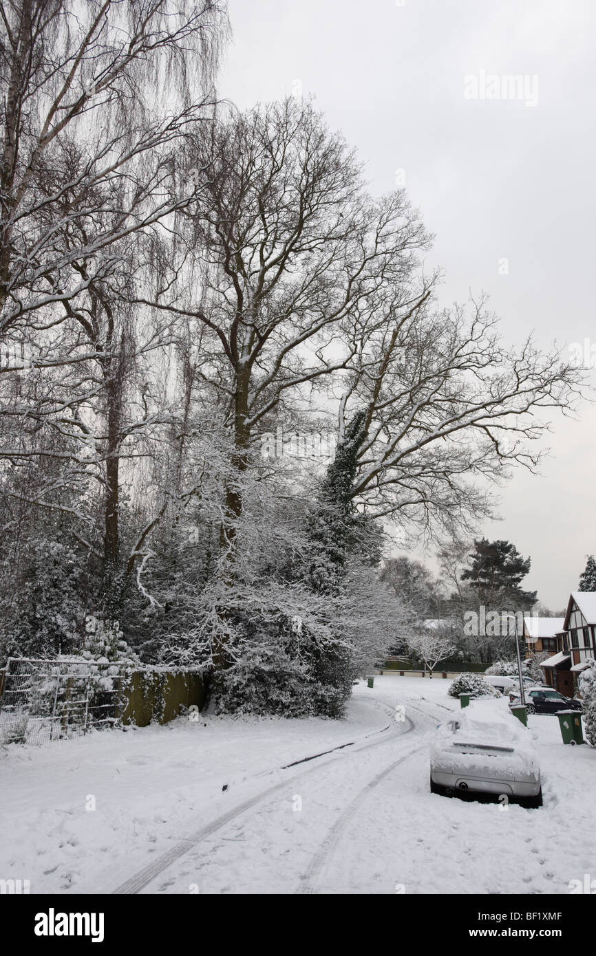Crowthorne in the Snow Stock Photo - Alamy