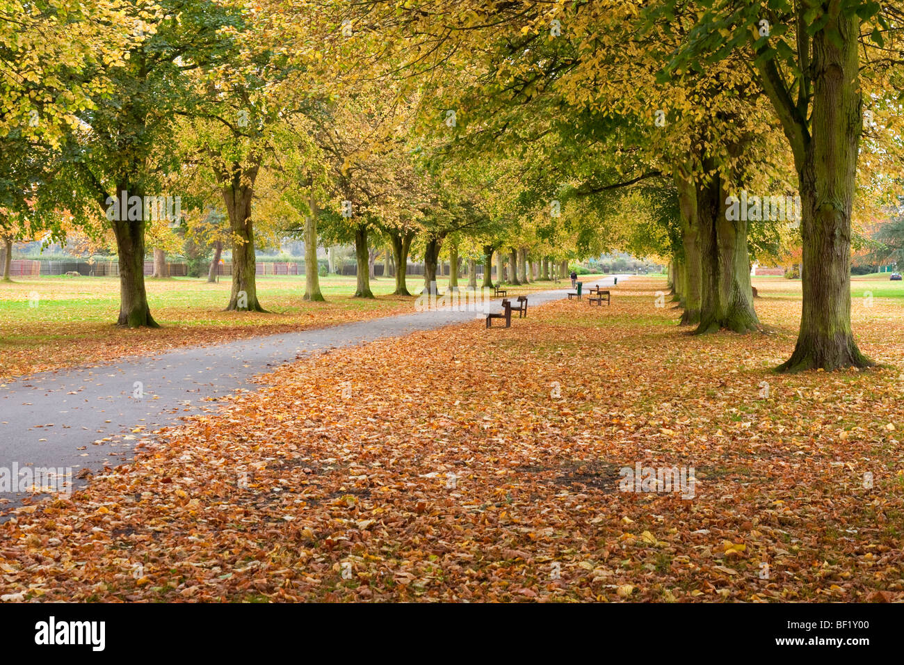 Himley country park hi-res stock photography and images - Alamy