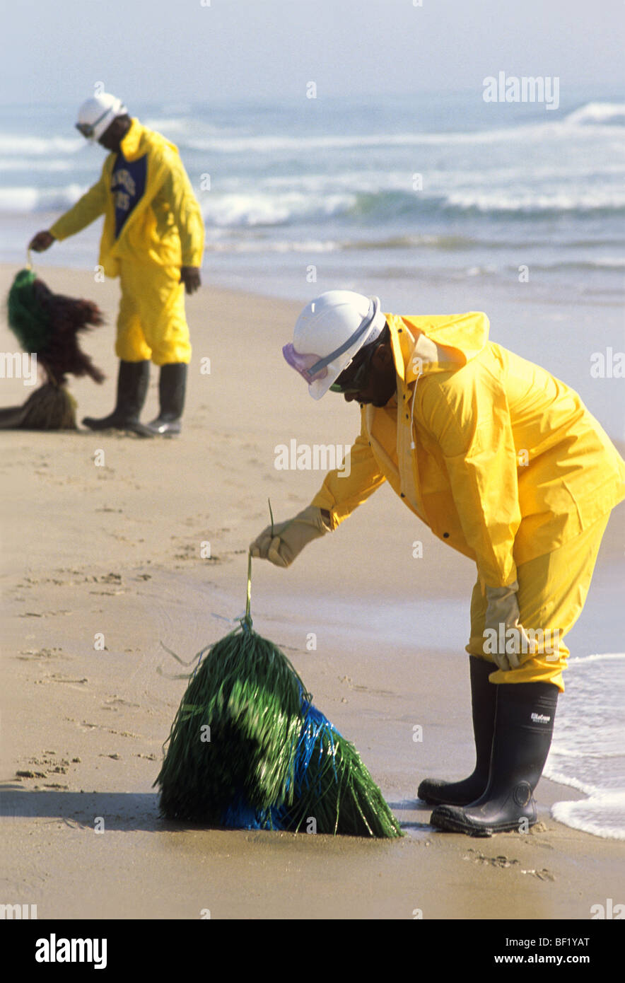 Oil polluted beaches hi-res stock photography and images - Alamy