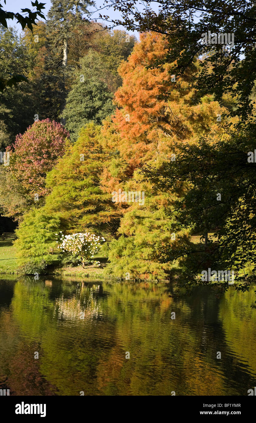 Trees reflected in still water hi-res stock photography and images - Alamy
