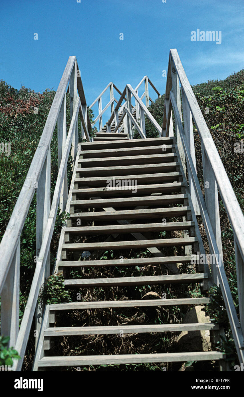 Stairs going up a hillside on Block island, Rhode island, USA Stock ...