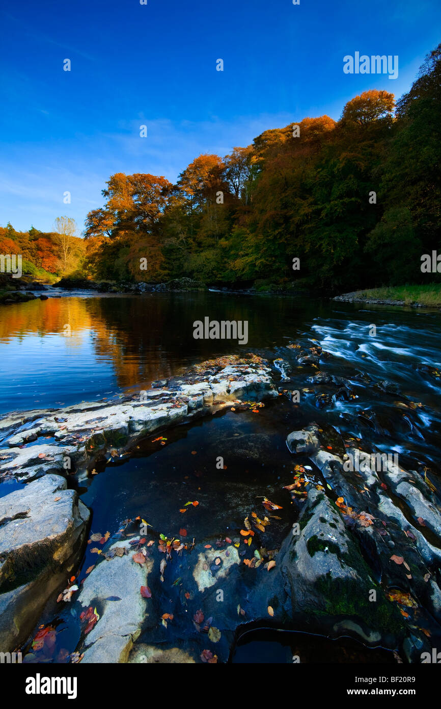 Autumnal view of River Ayr in Auchincruive, Ayrshire Stock Photo - Alamy