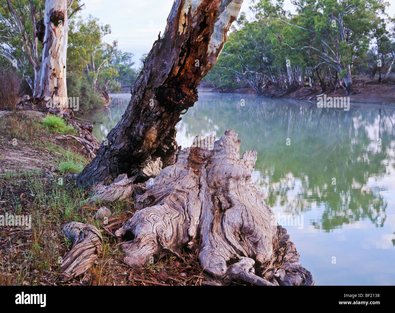 Murray River, Australia Stock Photo - Alamy