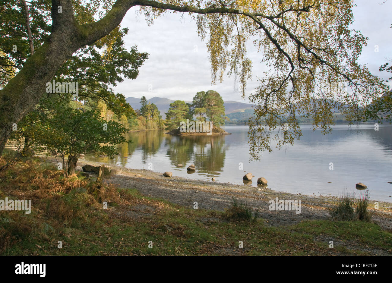 Manesty park derwentwater cumbria hi-res stock photography and images ...