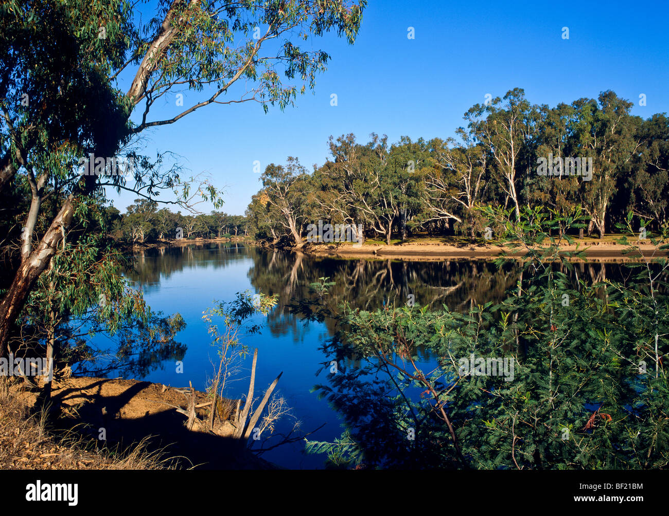 Murray River, Australia Stock Photo - Alamy