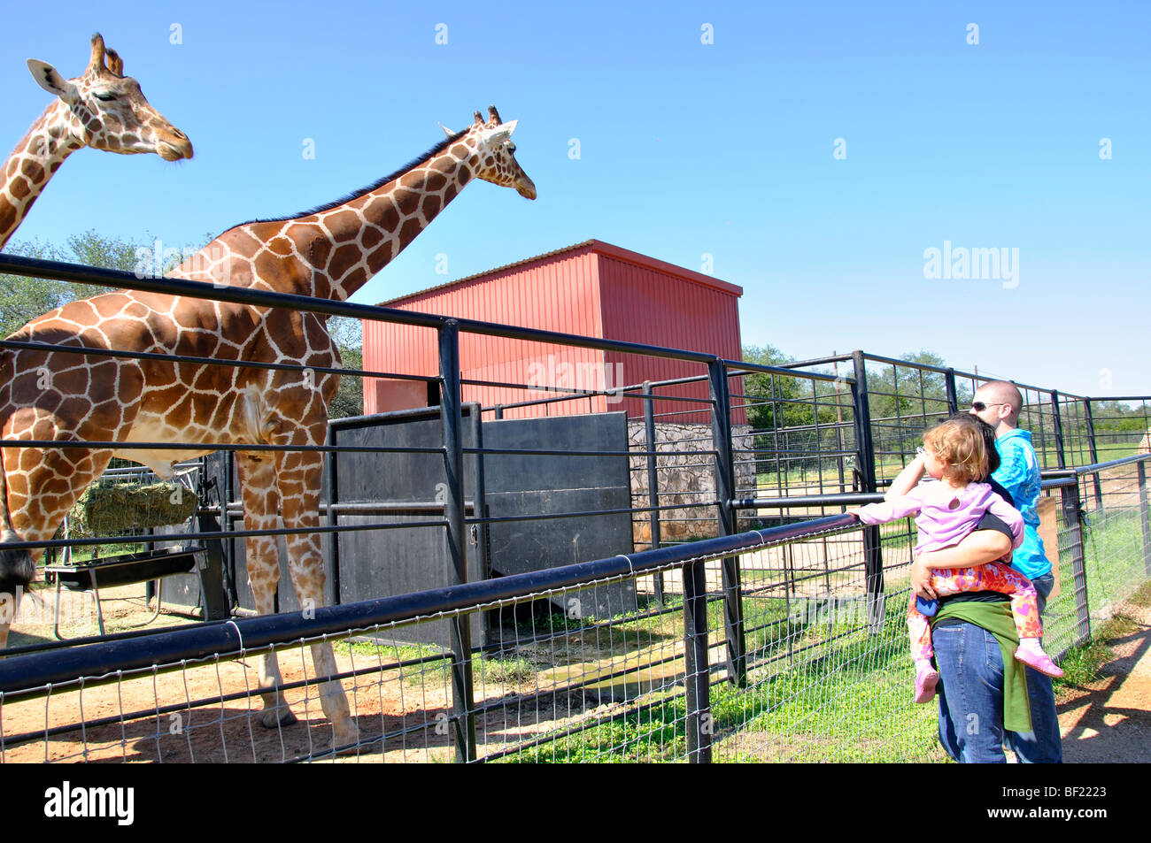 Family in zoo Stock Photo - Alamy